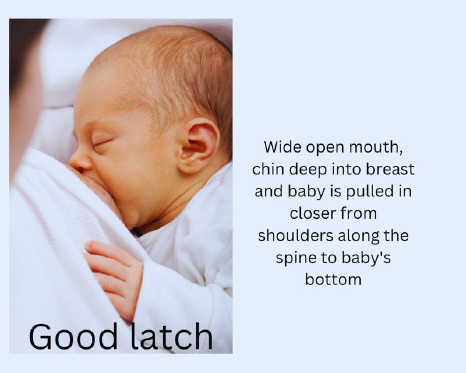 Breastfeeding - Wellness and Breastfeeding